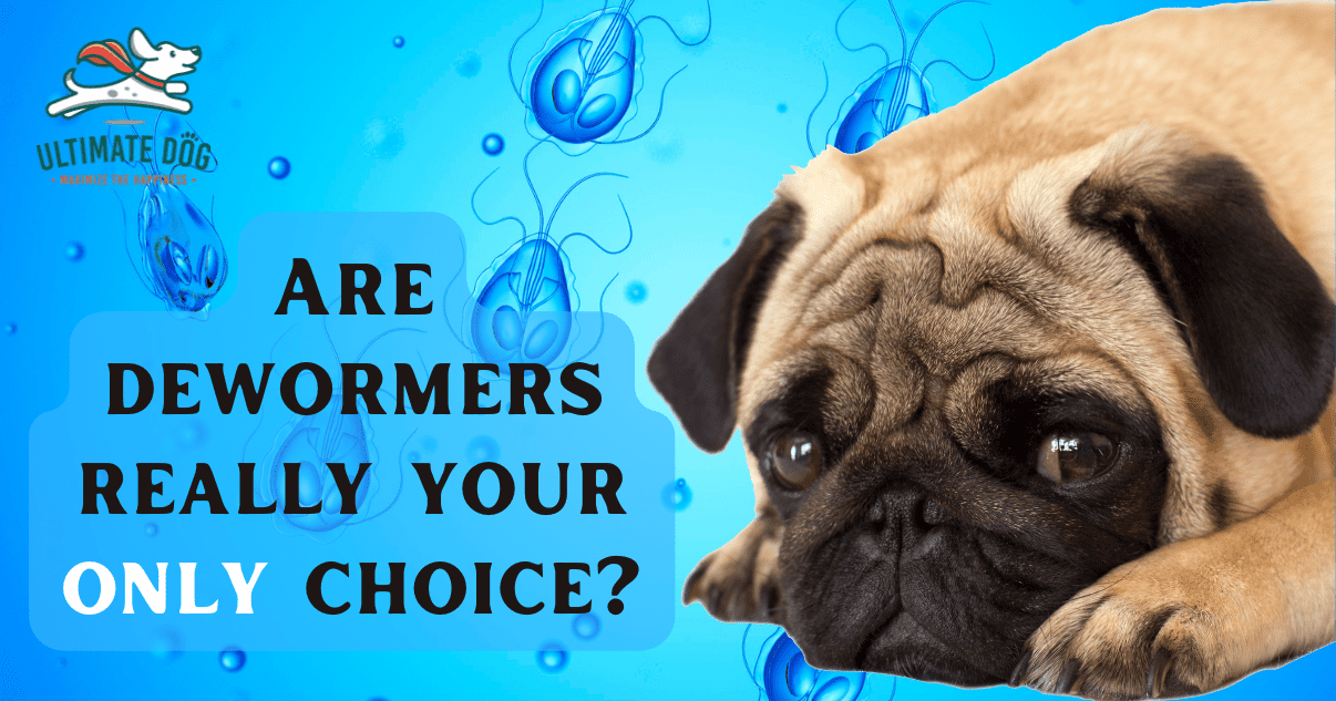 Giardia in Dogs: Science-Backed Natural Treatments | Ultimate Dog