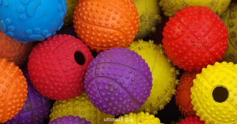 What Colors Can Dogs See? Unlock the Brilliant Truth!