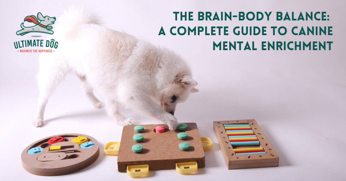 Unlocking Dog Mental Stimulation: The 15-Minute Rule for a Happier ...